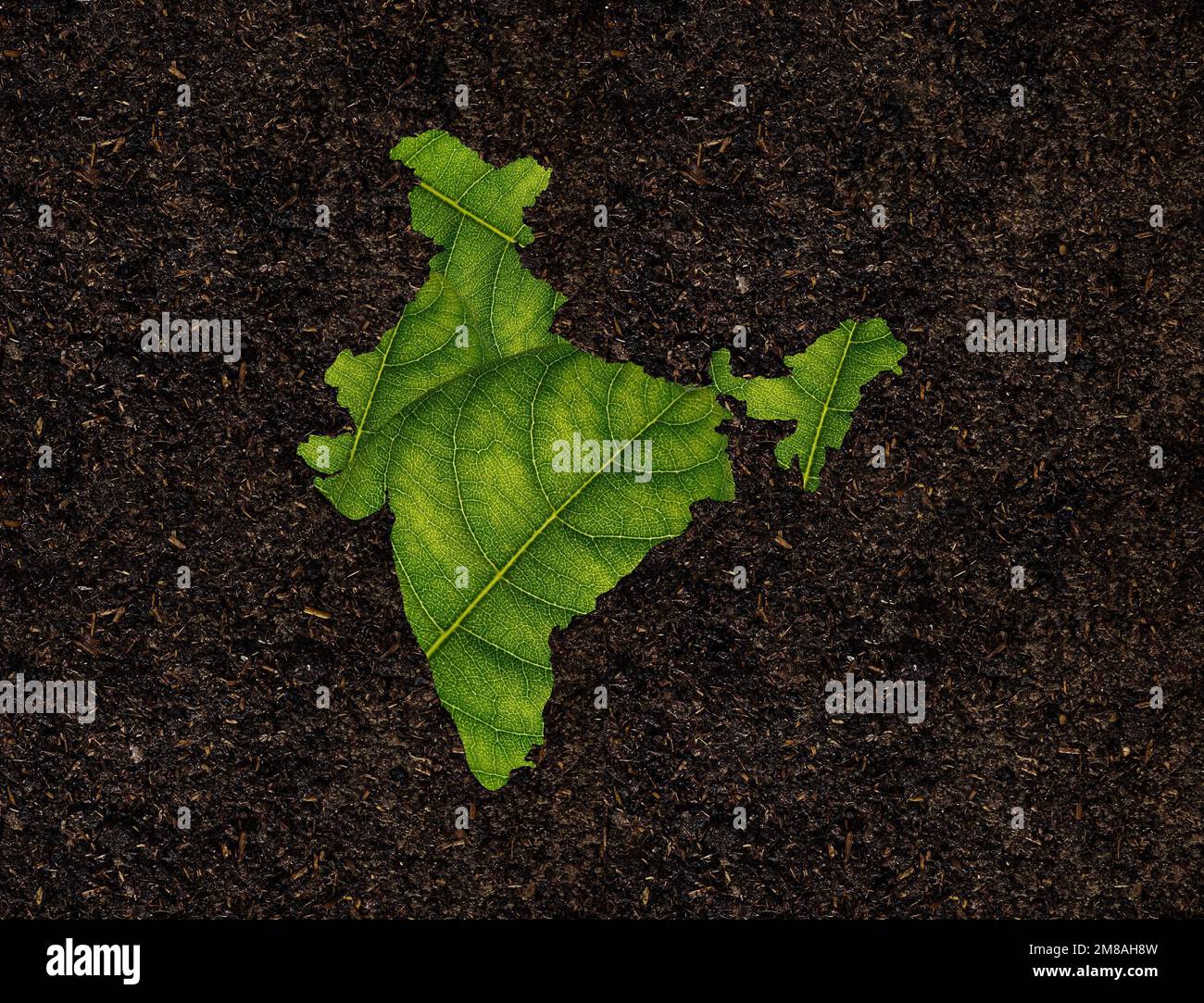 The India map made of green leaves on soil background, ecology concept ...