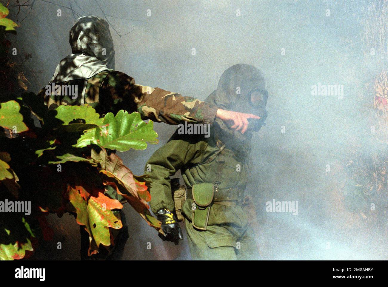 Members of Headquarters Battery, 12th Marines, train for Nuclear ...