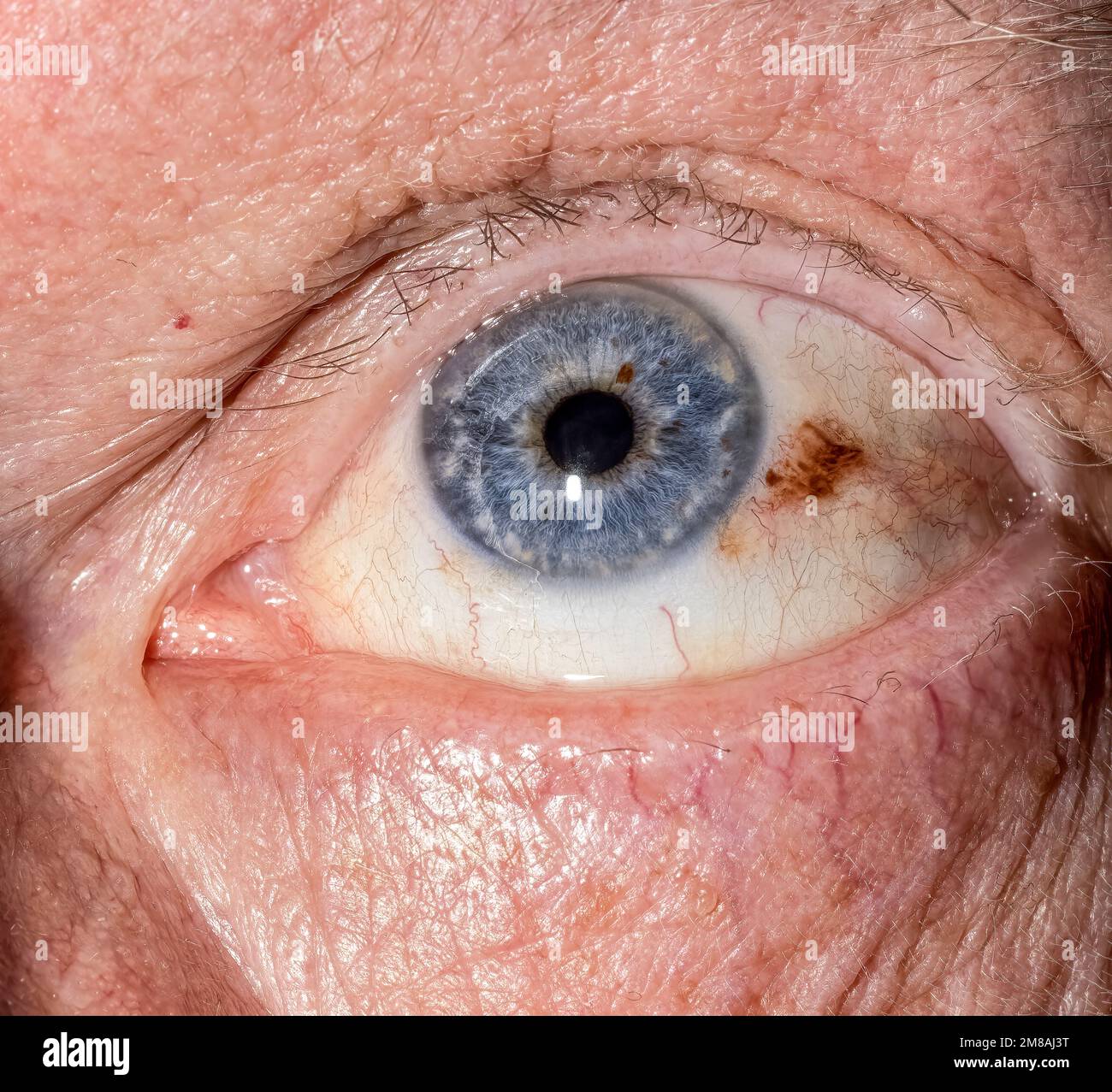 Old man with blue eyes from Sweden in closeup pic Stock Photo - Alamy