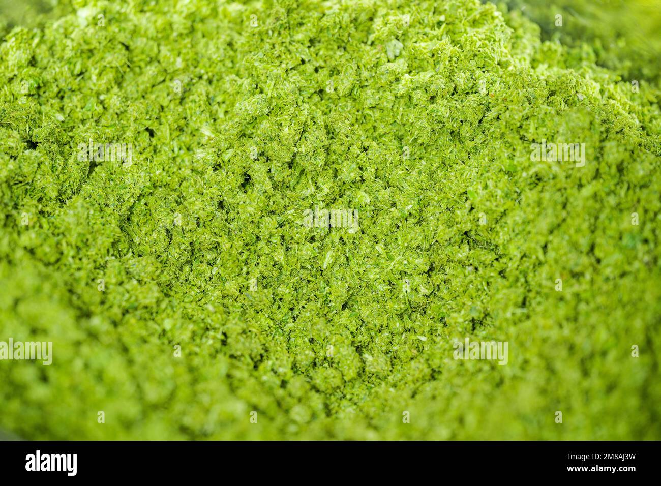 Detail of ground and shreddered hops after hopping for brewing beer ...