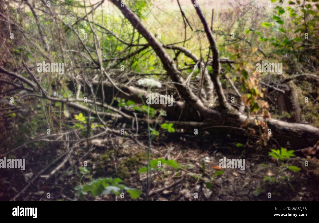 Natures chaos; natural environmental patterns formed by shapes in an ...