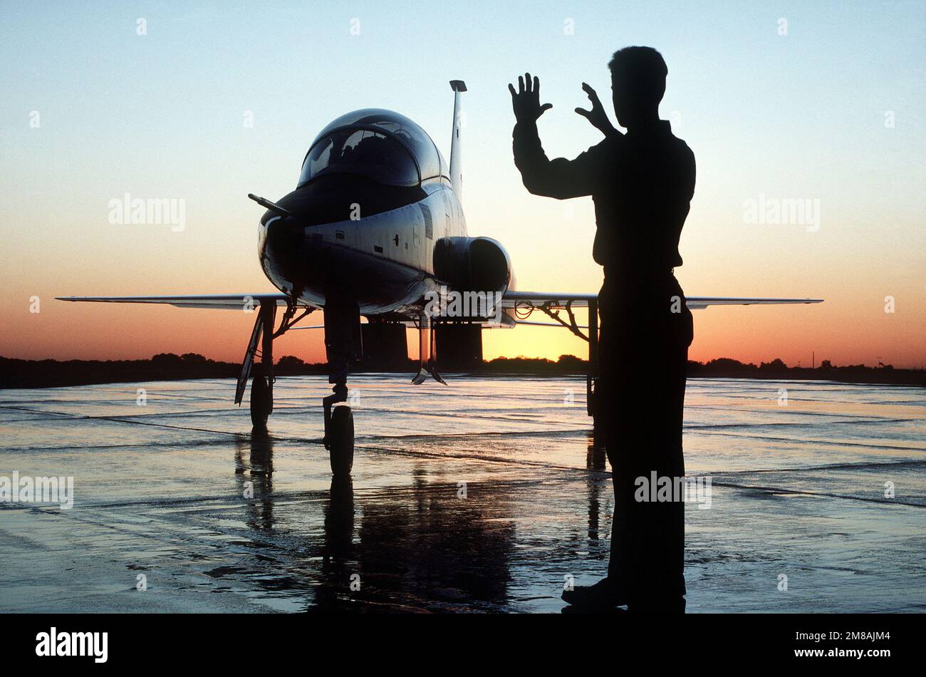 A member of the flight line crew signals to a T-38 Talon aircraft on ...