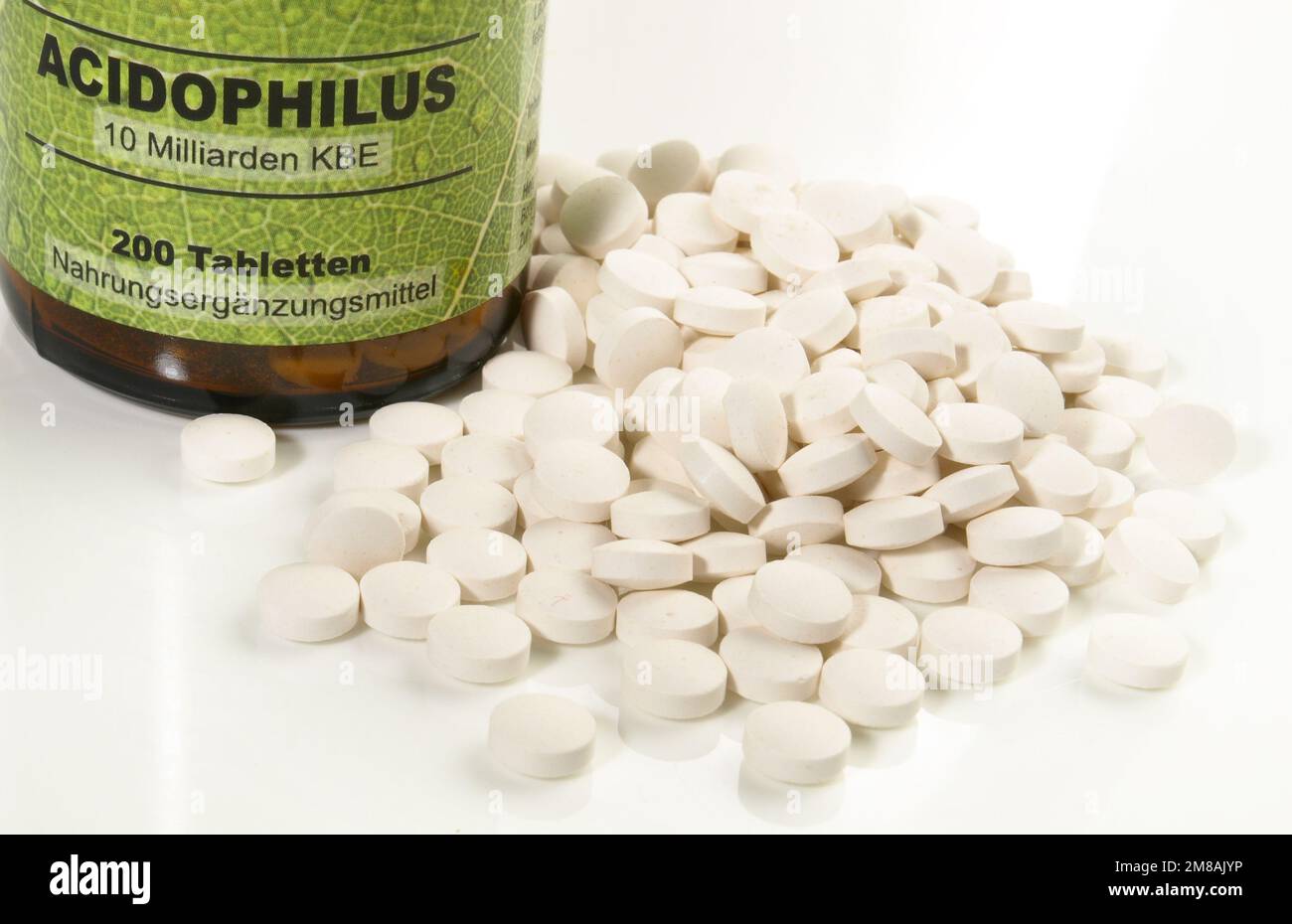 Lactobacillus Acidophilus Plate