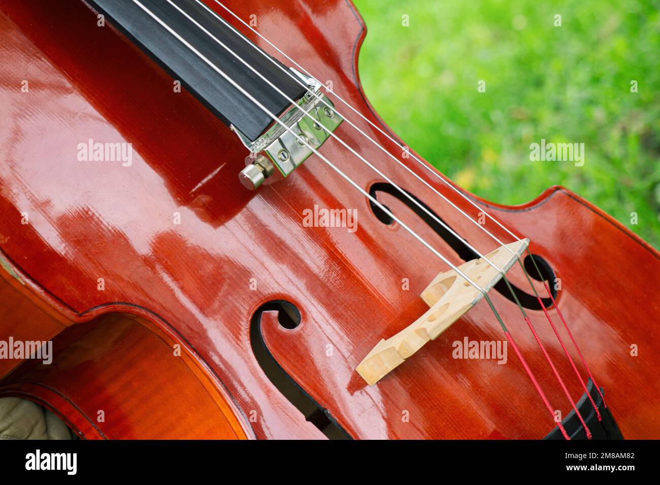 Wooden corpus of a chello with the strings and the f holes Stock Photo ...