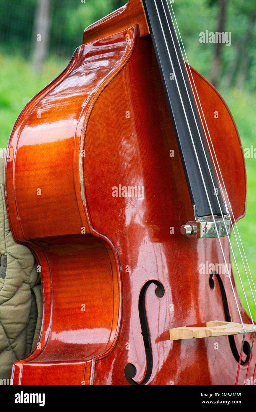 A wonderful violonchello, also called chello in the garden. This chello ...