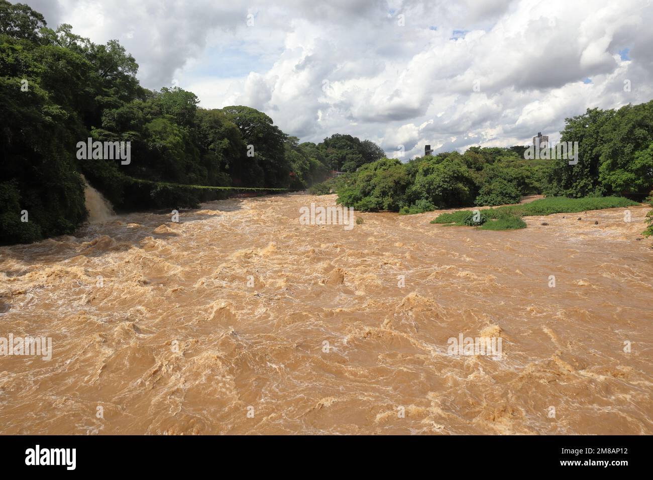 Brown water is seen in Piracicaba river, after heavy rains in Sao Paulo ...