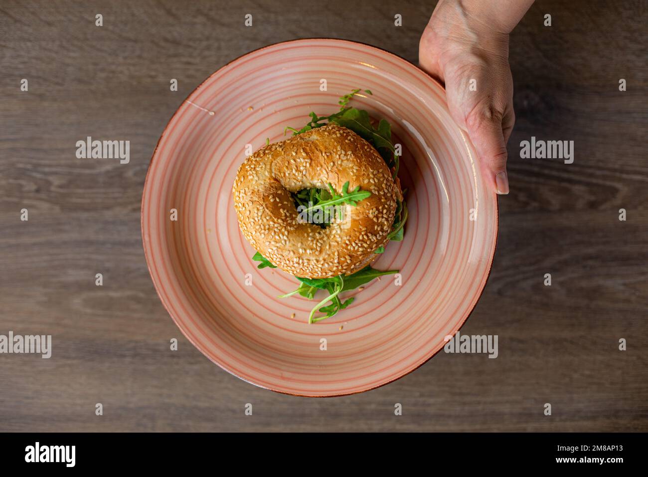 Cropped photo of woman holding plate with fresh appetizing burger with ...