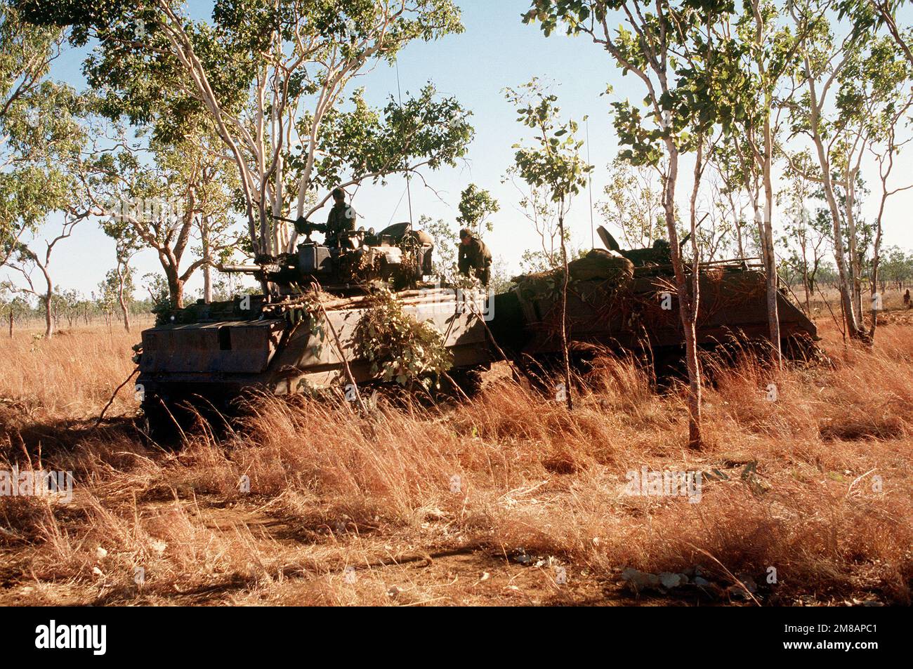 Two Australian Army M-113A1 armored vehicles sit parked in a wooded ...