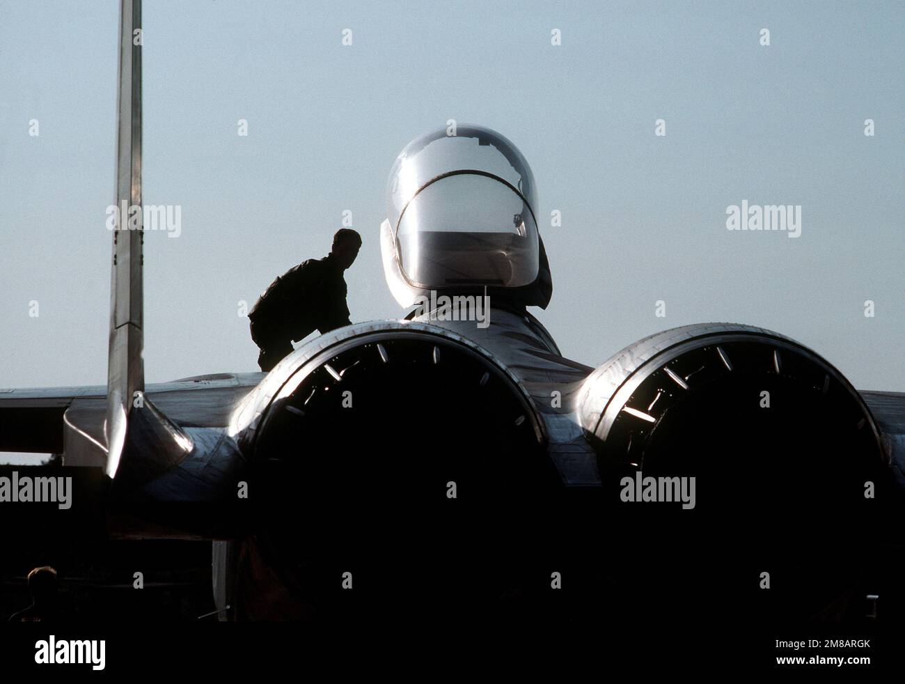 A pilot descends from the cockpit of a US Air Force 9th Tactical ...