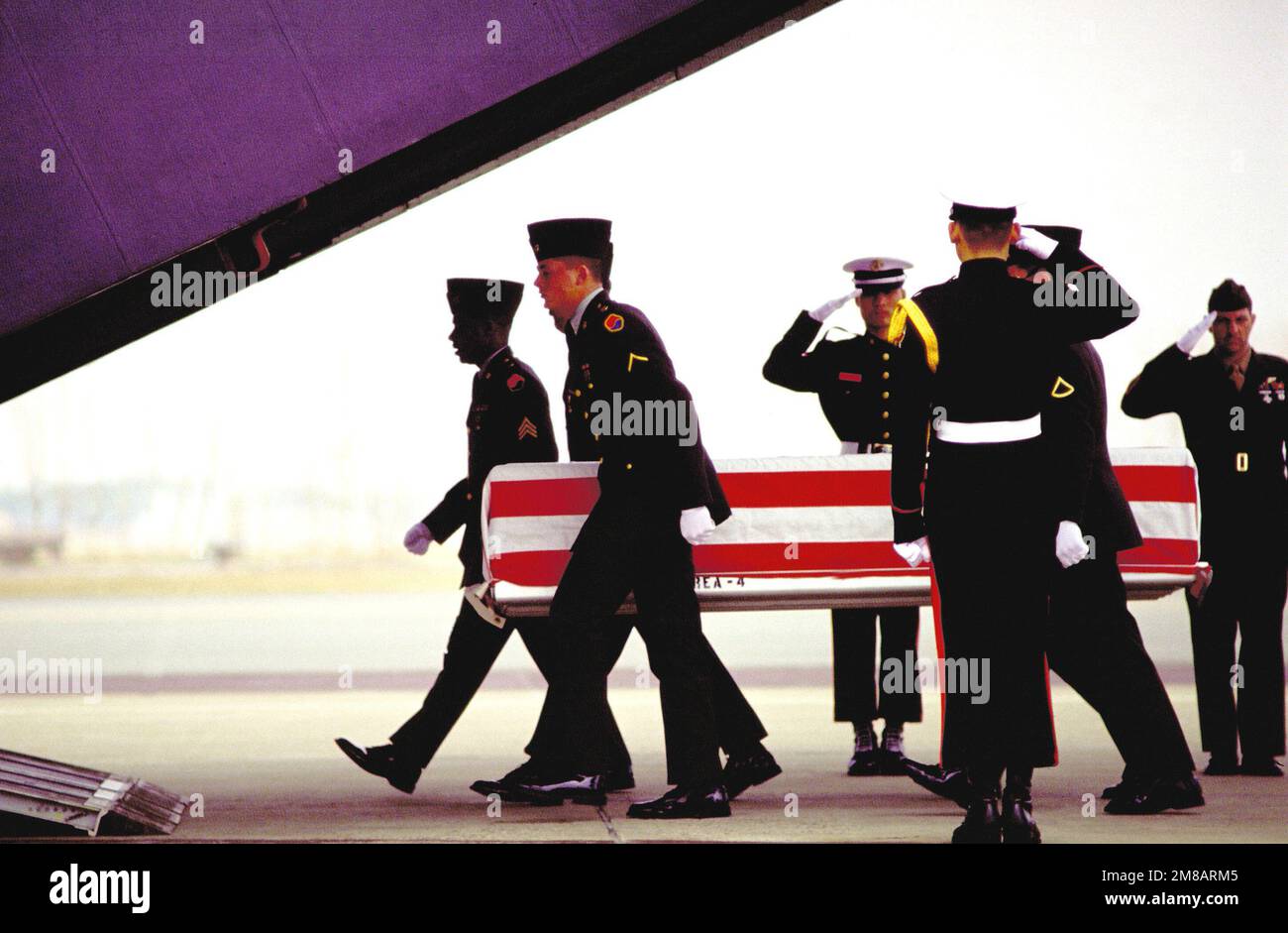 American flag draped coffin hi-res stock photography and images - Alamy