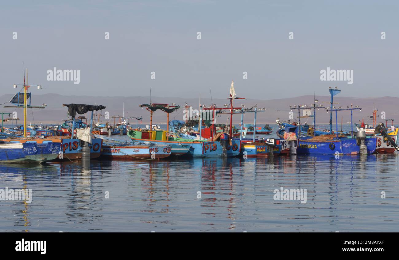 Fishing boats anchored in Paracas Bay. The desert coastline is in the ...