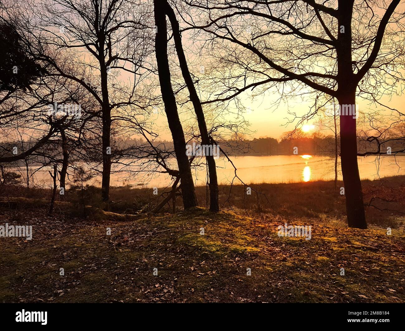 Forrestview hi-res stock photography and images - Alamy