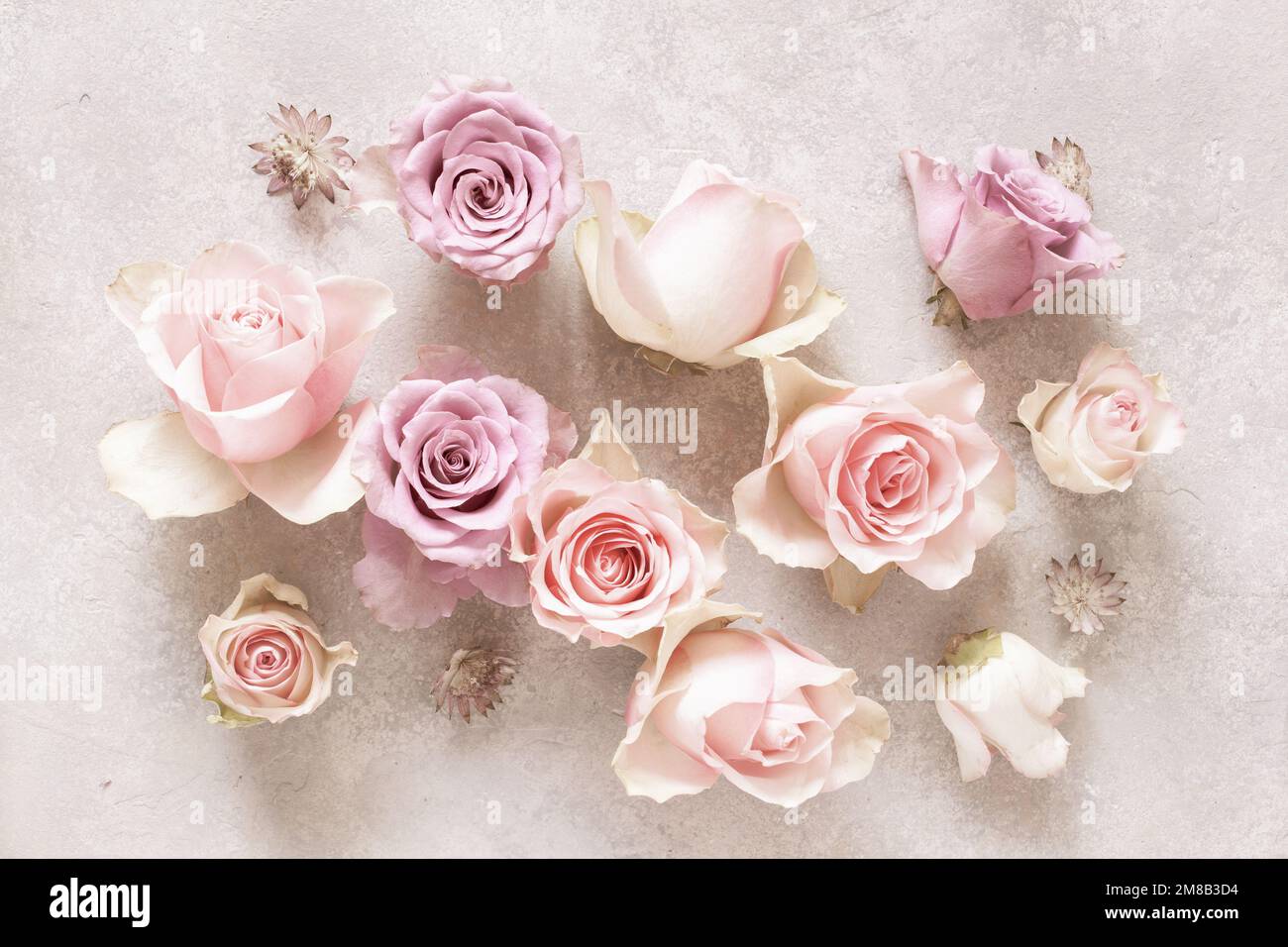 Subdued background hi-res stock photography and images - Alamy