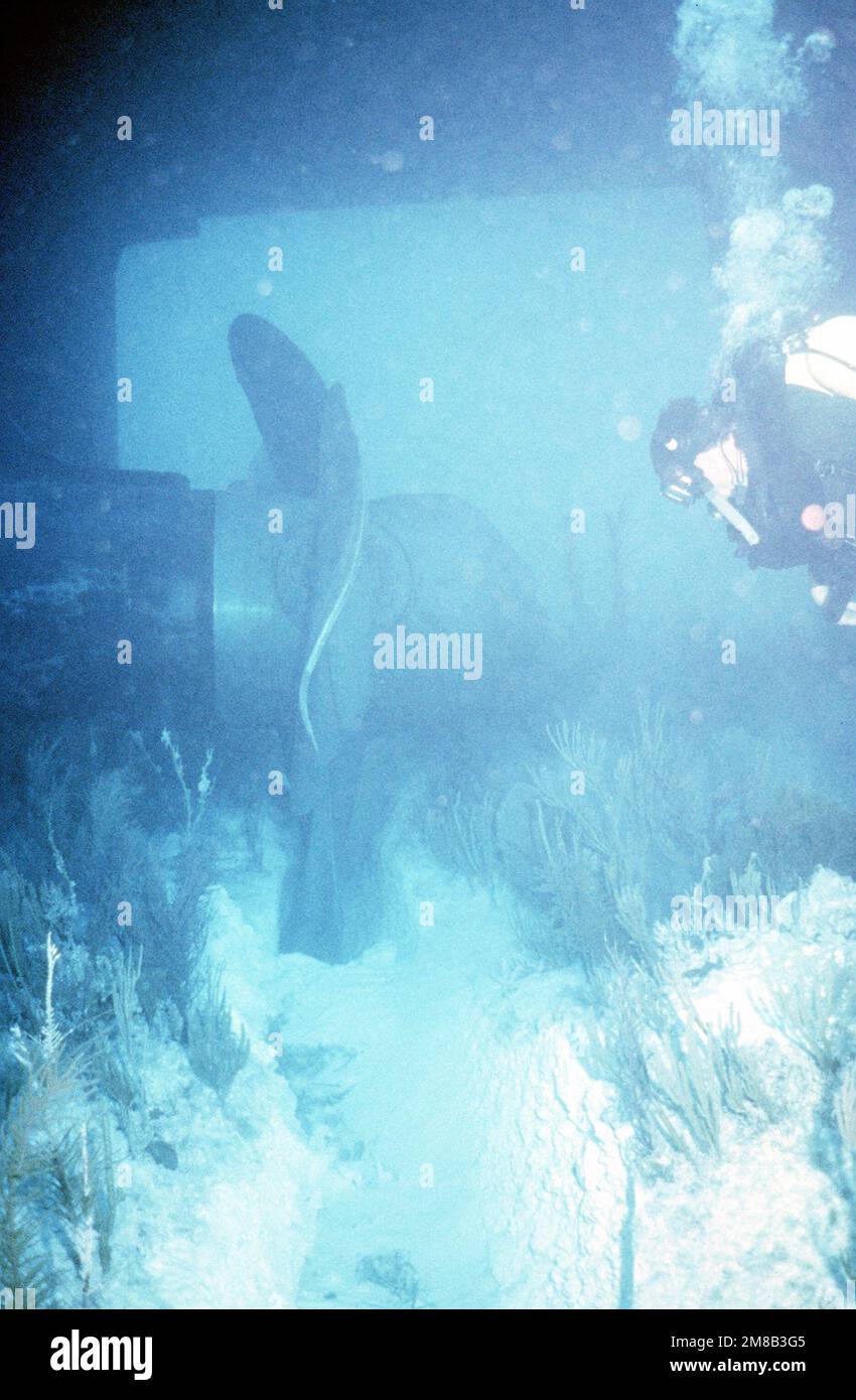A diver from the salvage ship USS GRASP (ARS-51) inspects one of the ...