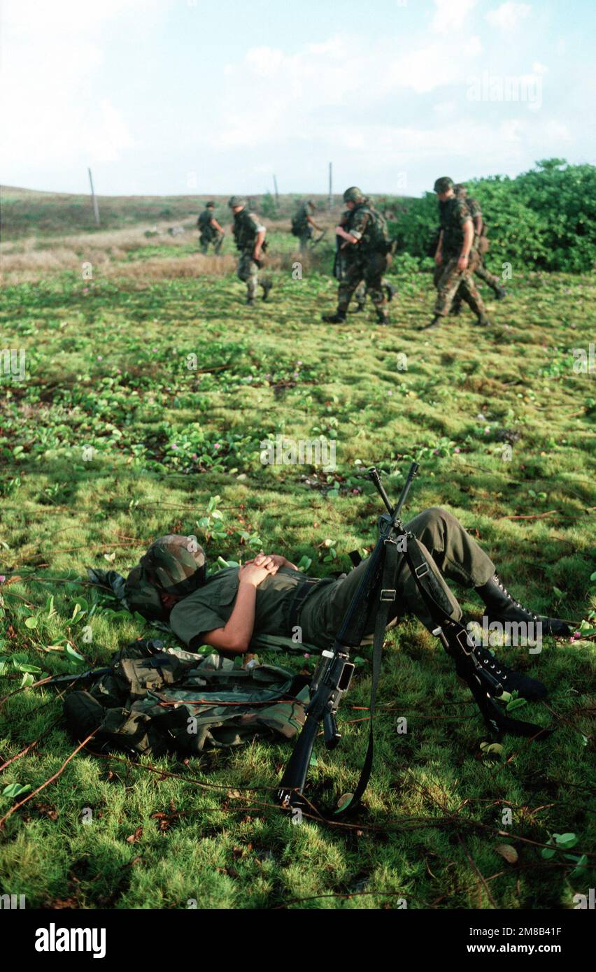A Seabee from Naval Mobile Construction Battalion 3 (NMCB-3), his ...