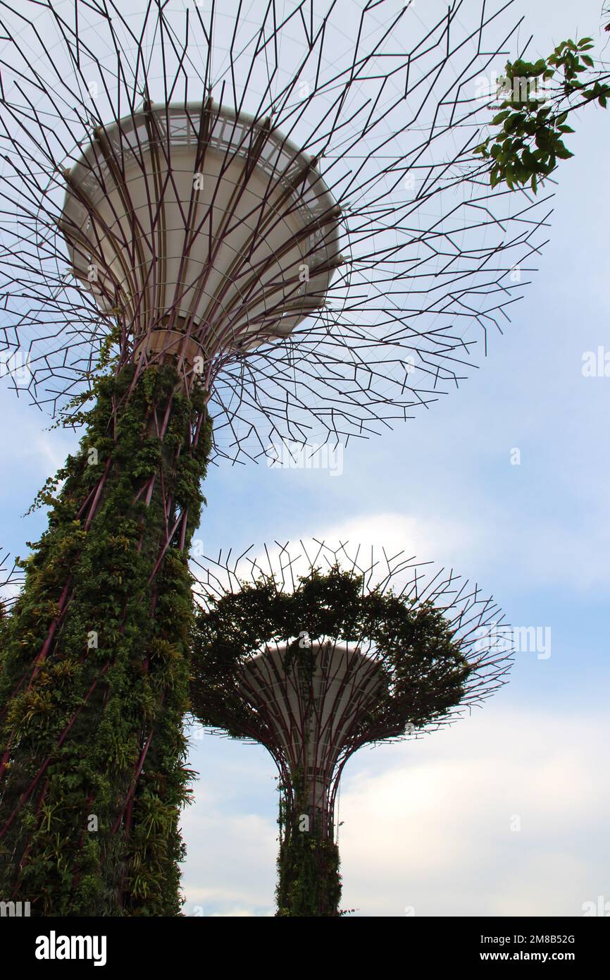artificial tress at gardens by the bay in singapore Stock Photo - Alamy