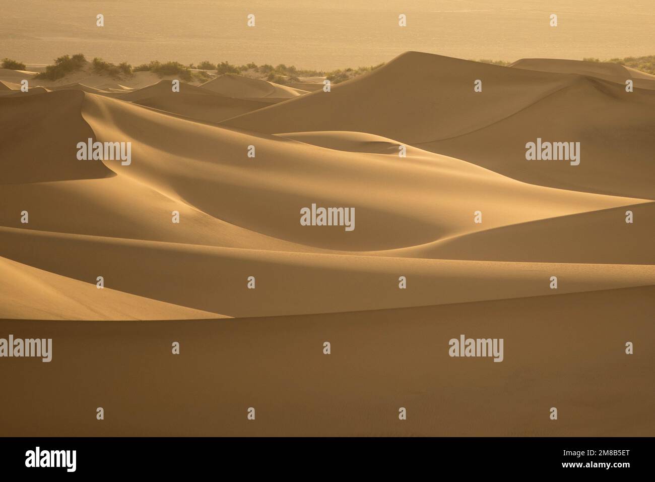 The white sand dunes with silky smooth texture in a desert Stock Photo ...