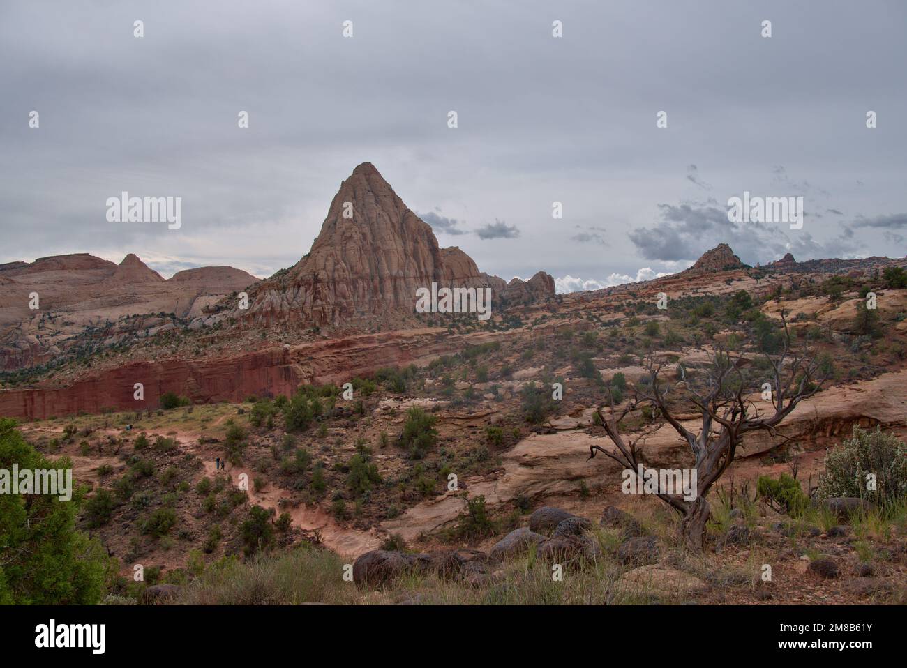 Looking toward Pectol's Pyramid from the Navajo Knobs Trail in Capitol ...