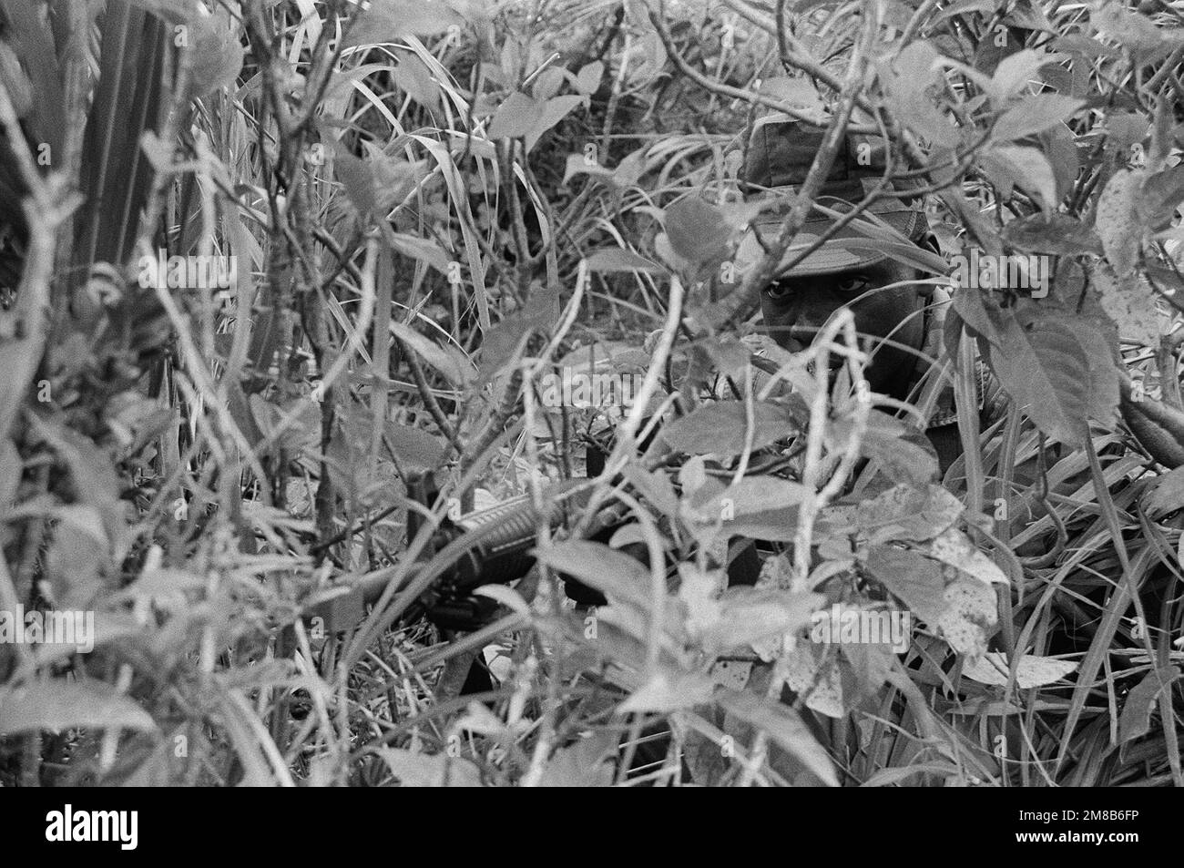 DM-SN-89-05539. Base: Unknown Stock Photo - Alamy