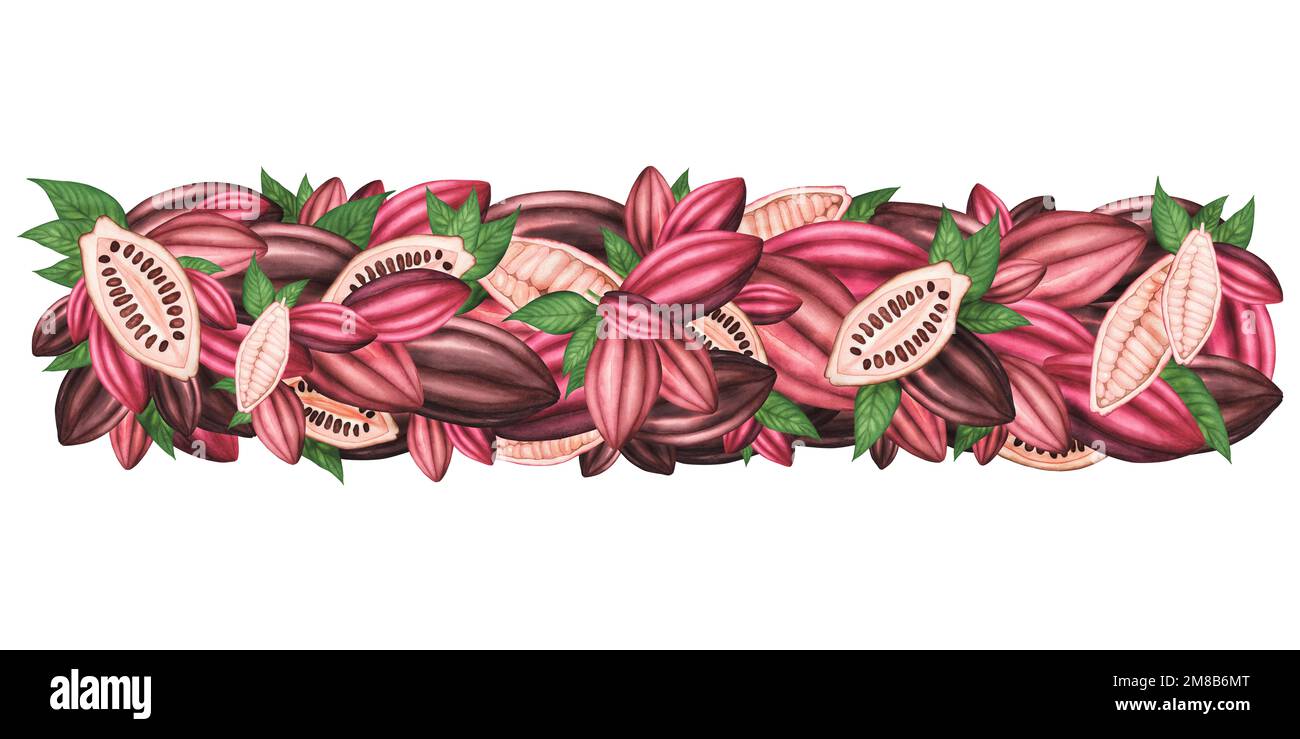 Garland border with Ripe Cocoa pod with beans and leaves isolated on ...