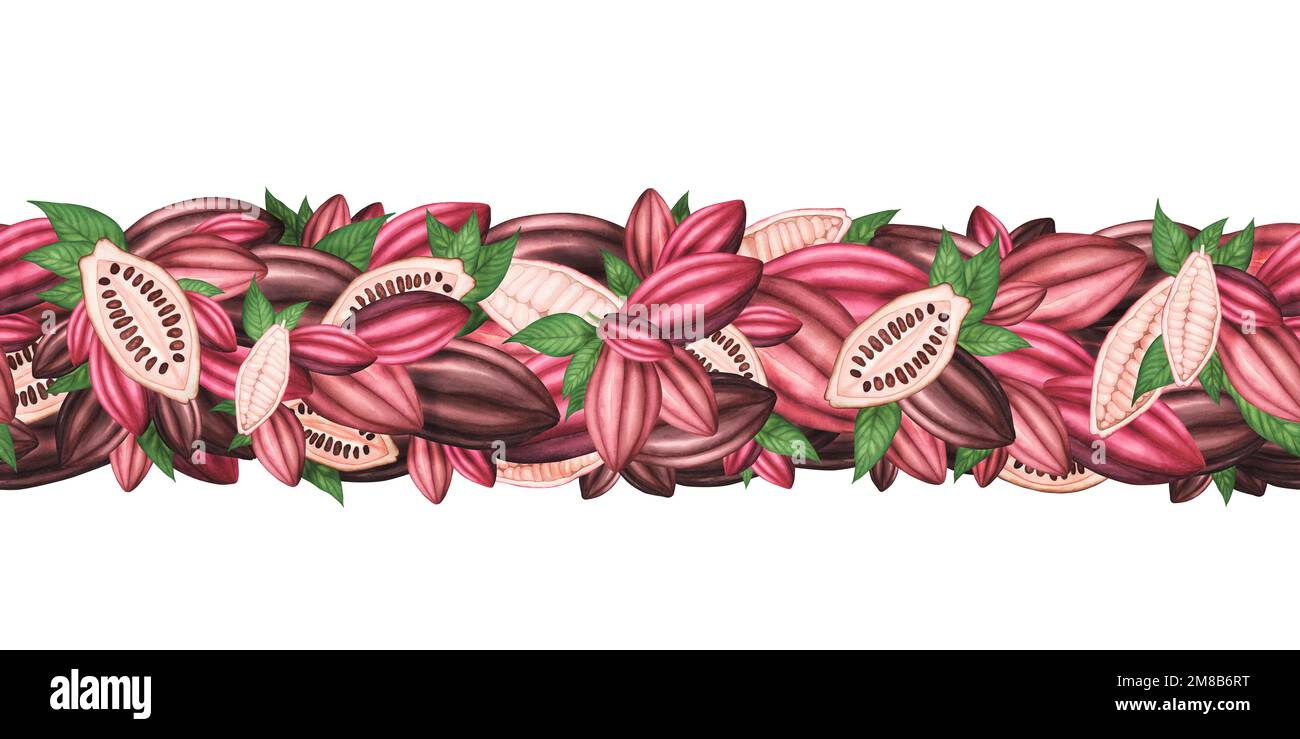 Seamless border with Ripe Cocoa pod with beans and leaves isolated on ...
