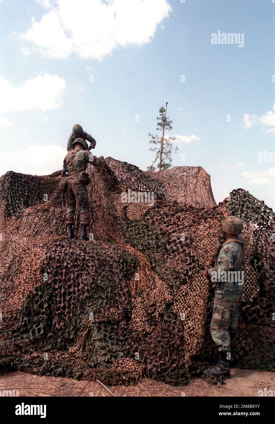 Members of the 125th Signal Battalion, 25th Infantry Division (Light ...