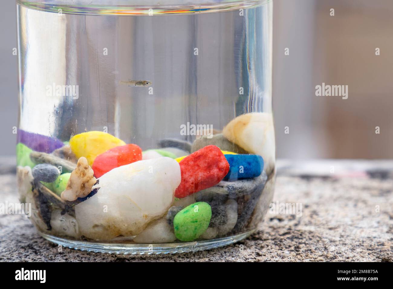 Decorative fish jar hi-res stock photography and images - Alamy