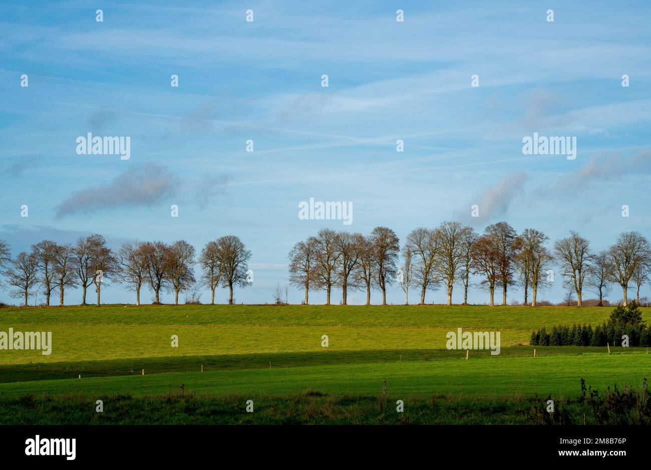 Rural landscape in the Ardennes, Belgium Stock Photo - Alamy
