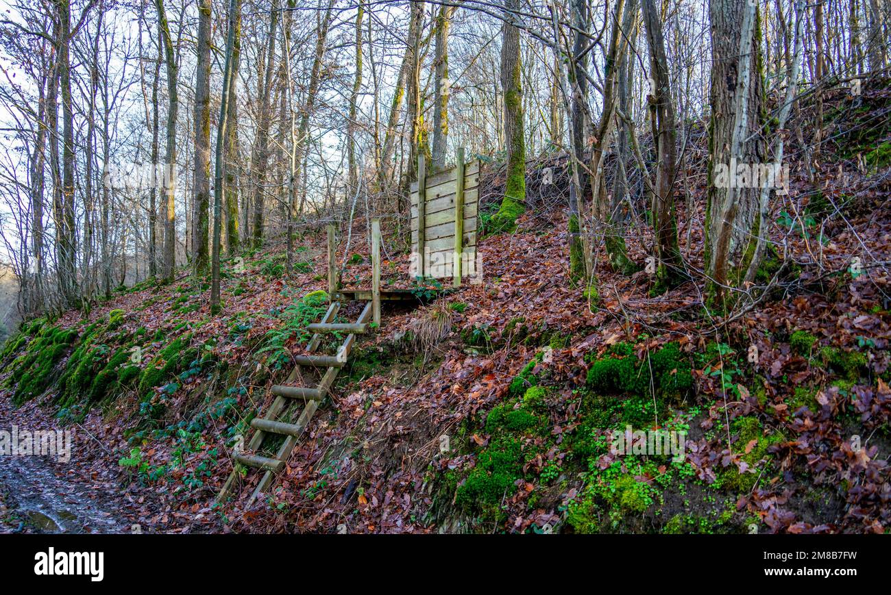 Hunters seat in the forest in the Ardennes, Belgium Stock Photo - Alamy