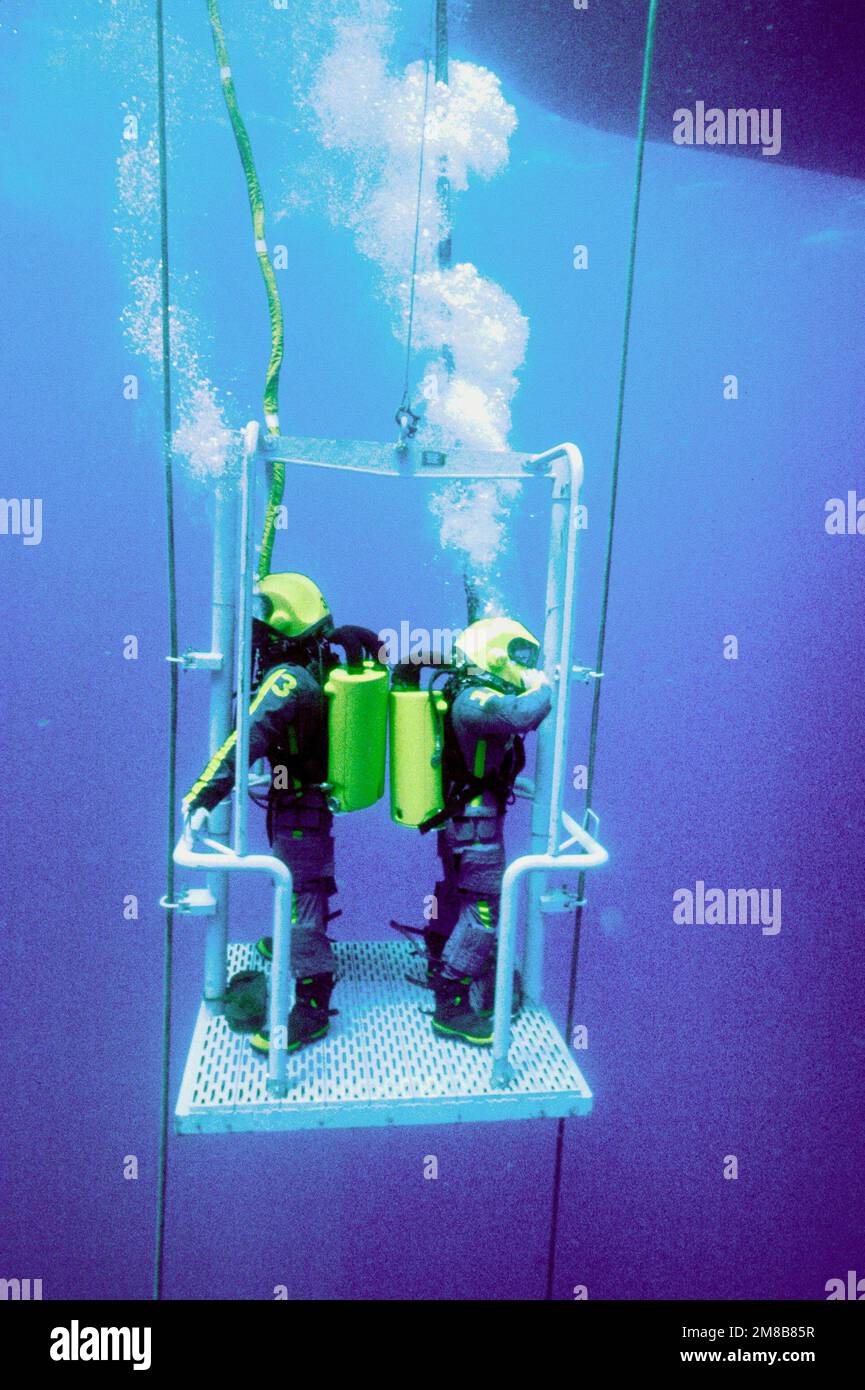 Divers of Mobile Diving and Salvage Unit are lowered into the water on ...