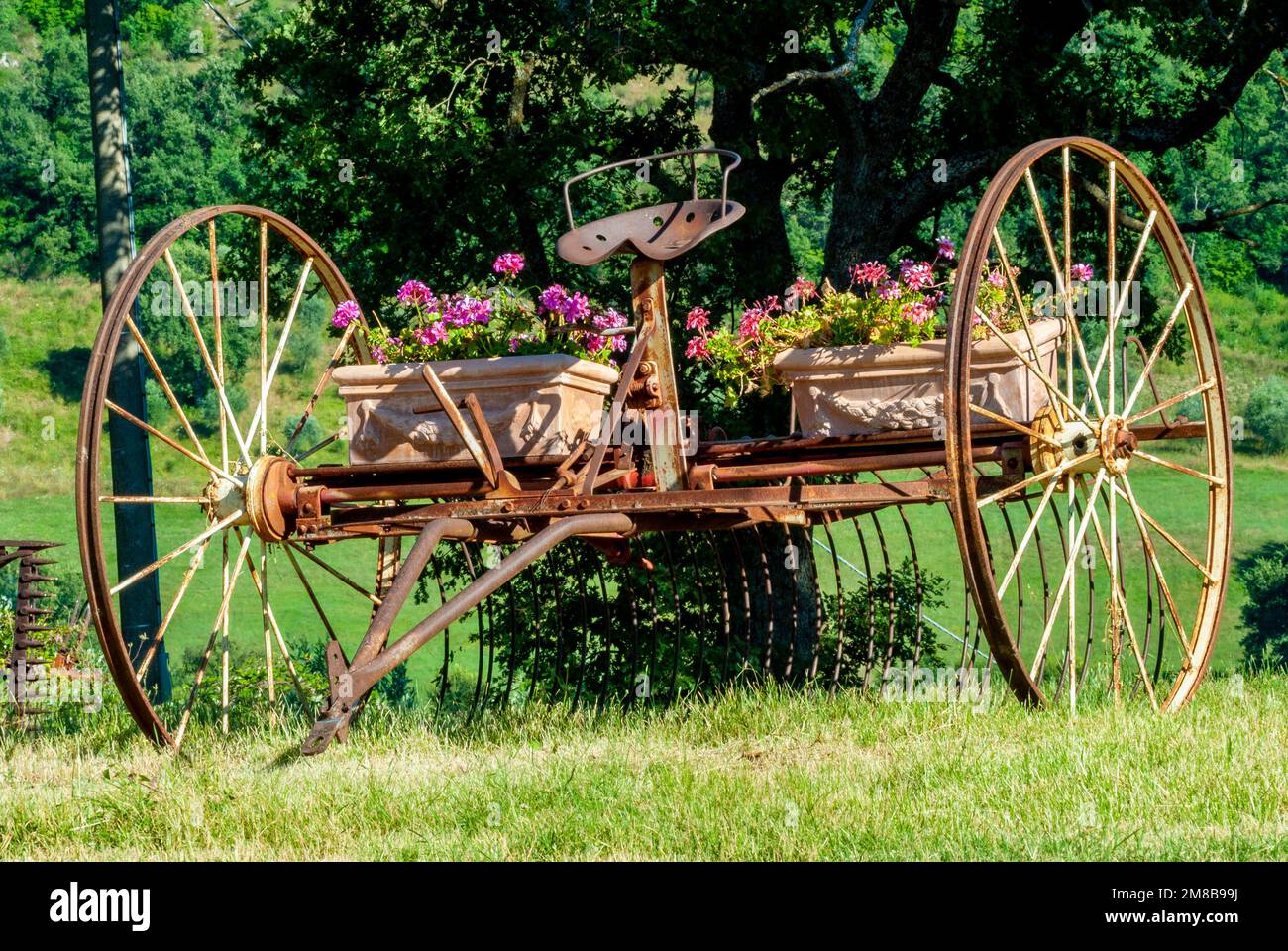 Basilicata italy countryside hi-res stock photography and images - Alamy