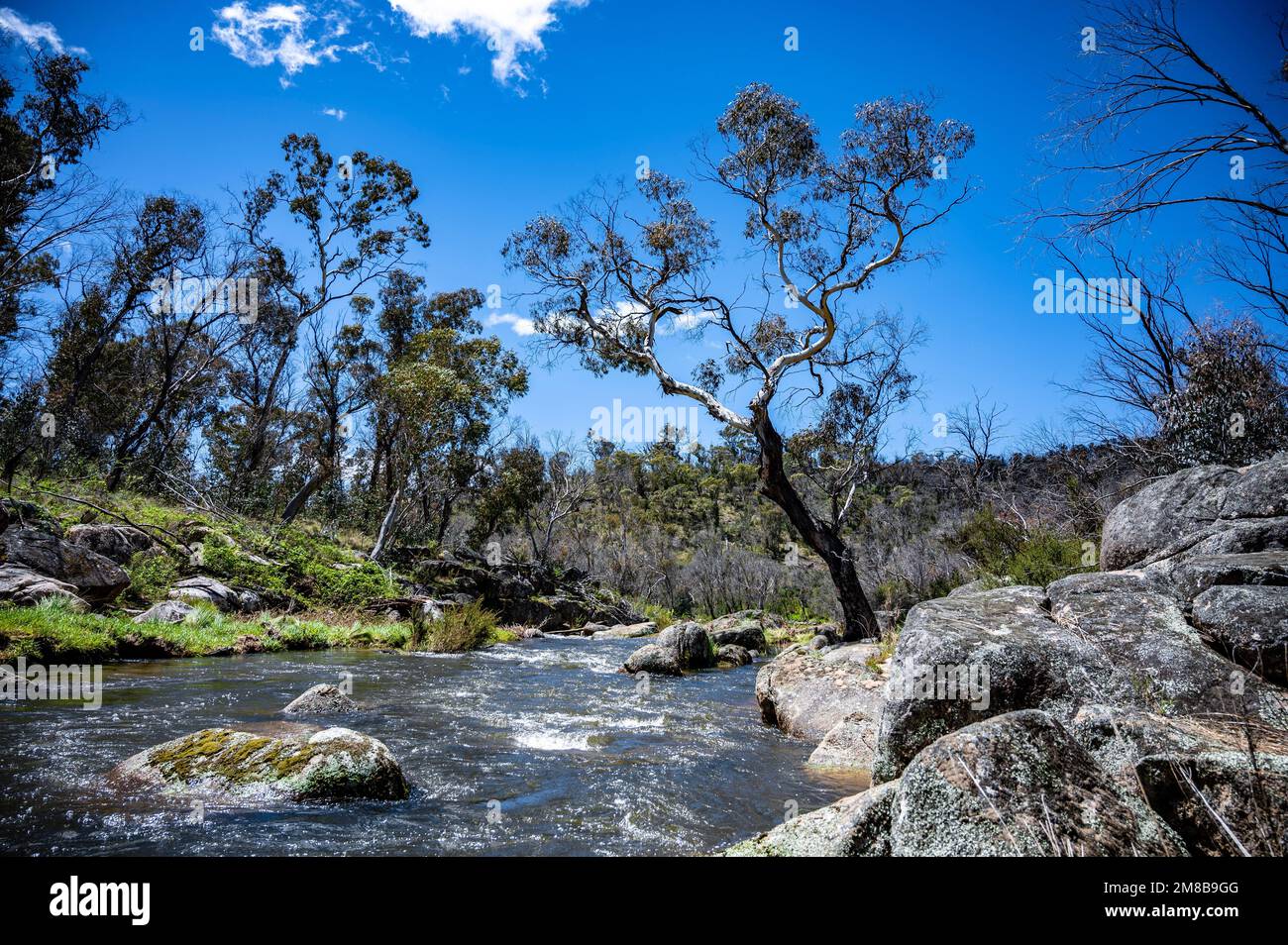 A beautiful view of a stream flowing through the rocks surrounded by ...