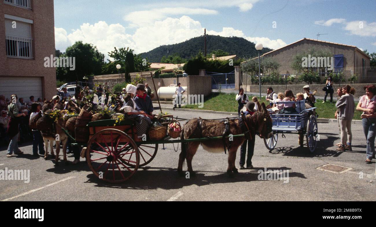 Parade of the traditional festival of the donkey in La Roquebrussanne ...