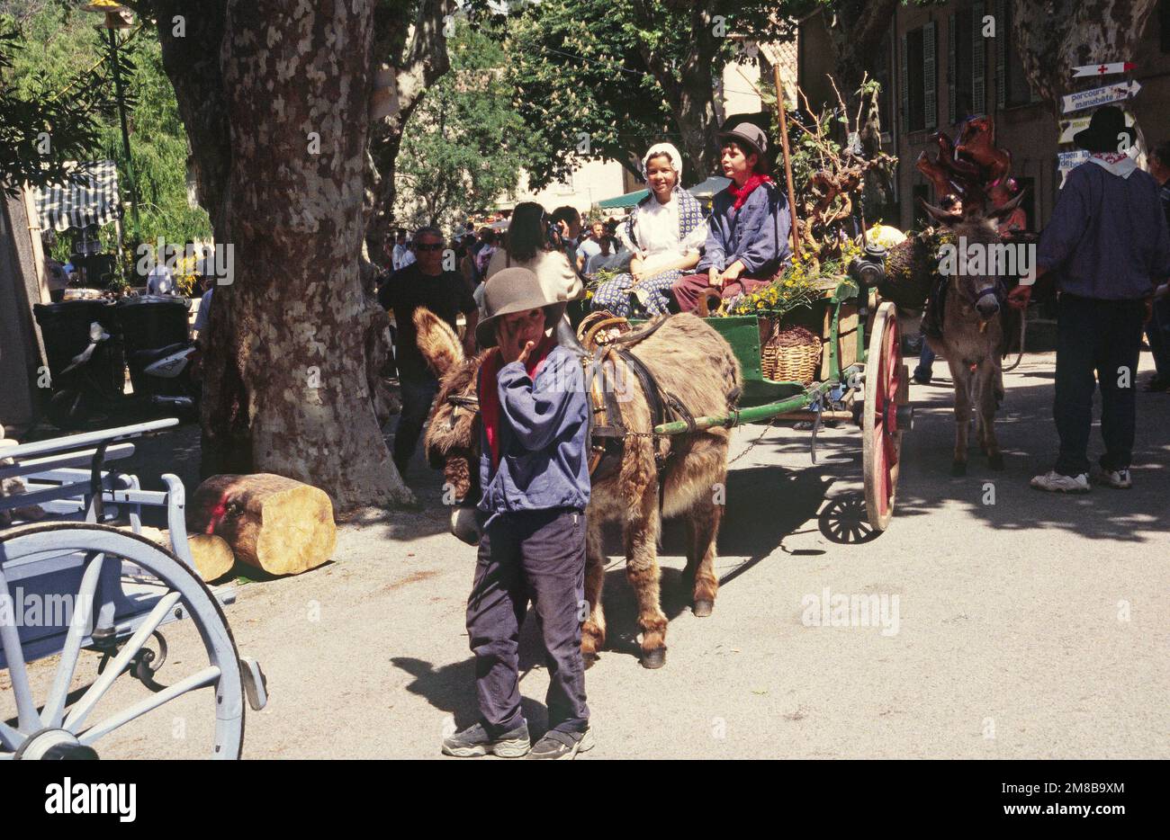 Parade of the traditional festival of the donkey in La Roquebrussanne ...