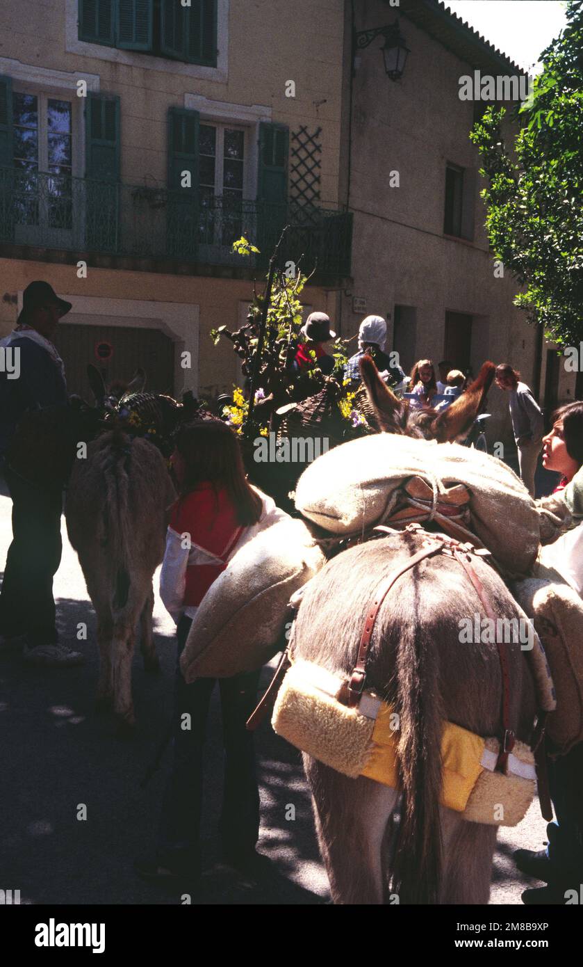 Parade of the traditional festival of the donkey in La Roquebrussanne ...