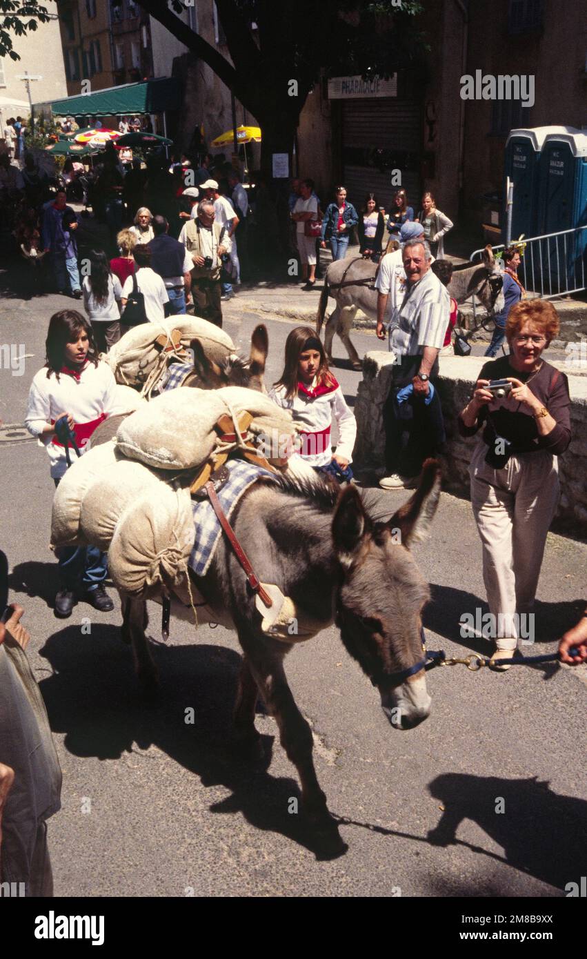 Parade of the traditional festival of the donkey in La Roquebrussanne ...