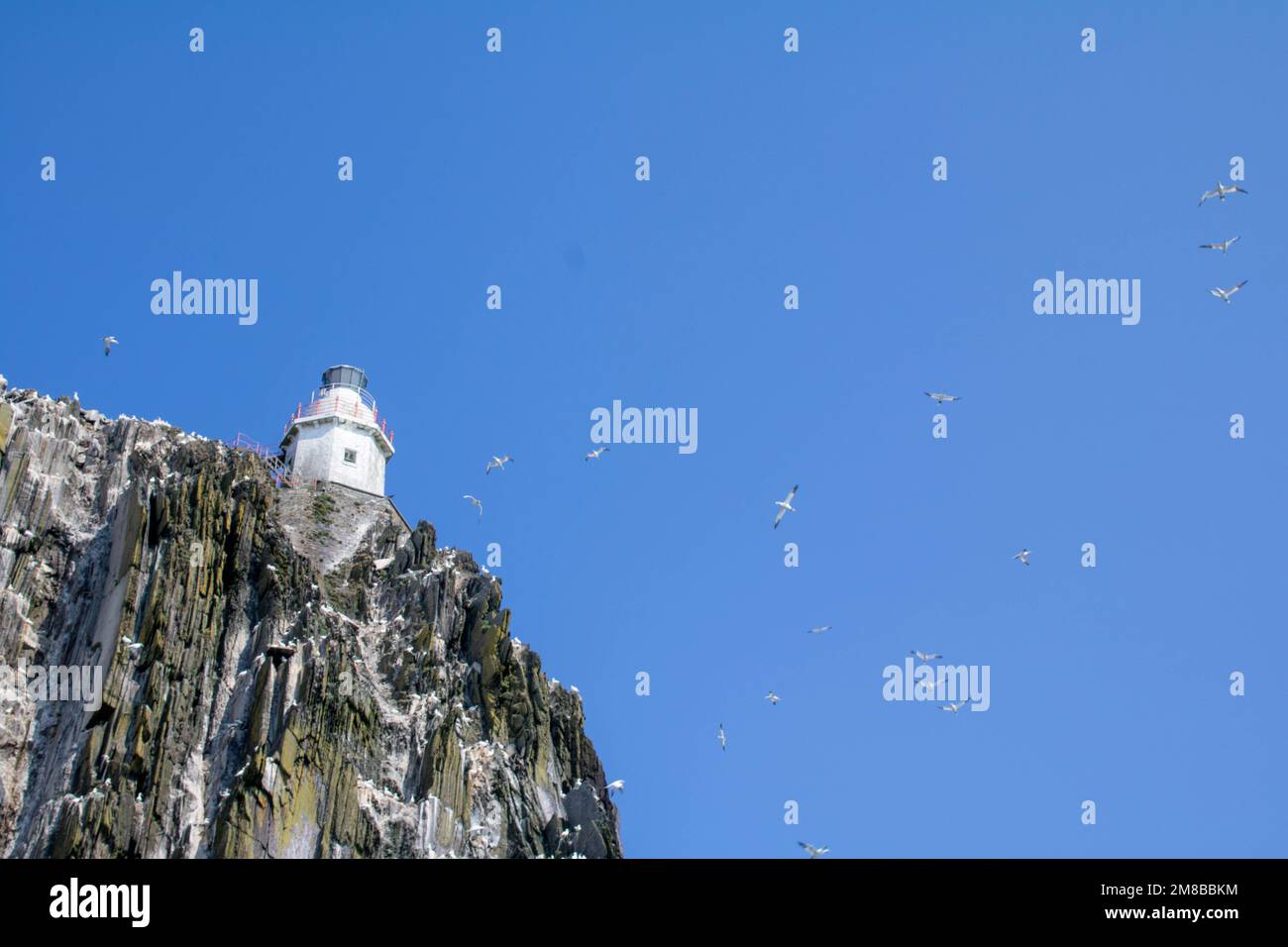 A bull rock lighthouse in Beara West Cork Ireland Stock Photo - Alamy