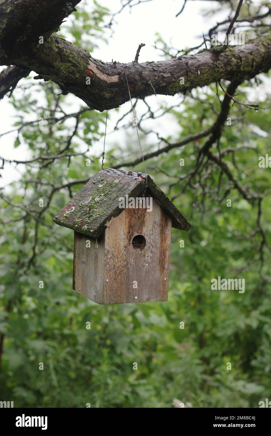 Typical common wooden birdhouse hanging in the fields Stock Photo - Alamy