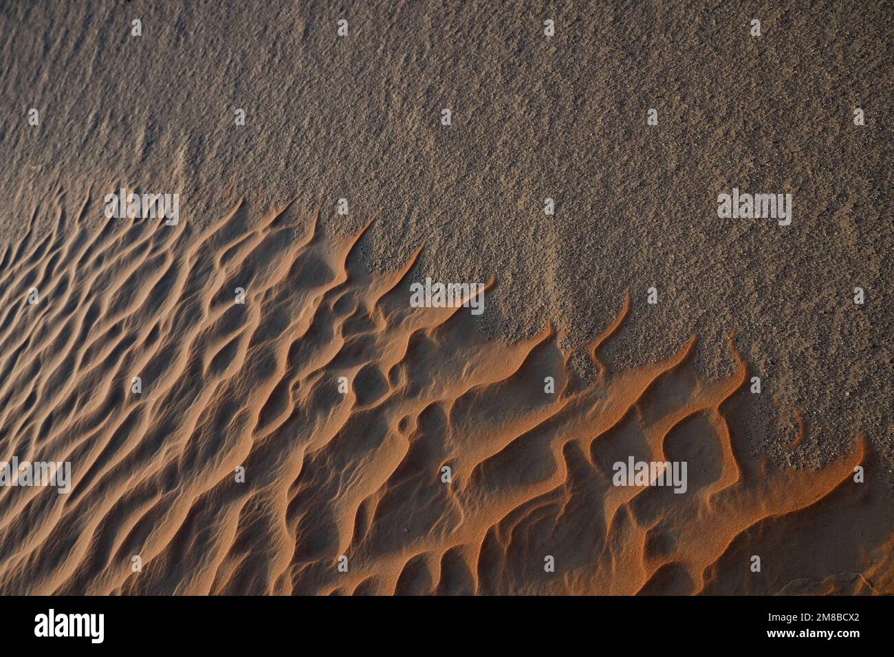 Shaybah Saudi Arabia Map