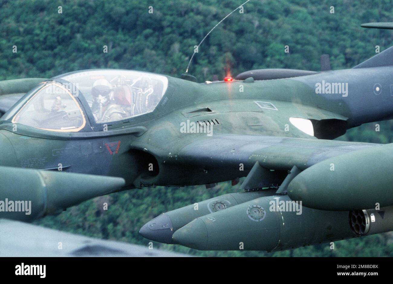 A 37 dragonfly hi-res stock photography and images - Alamy