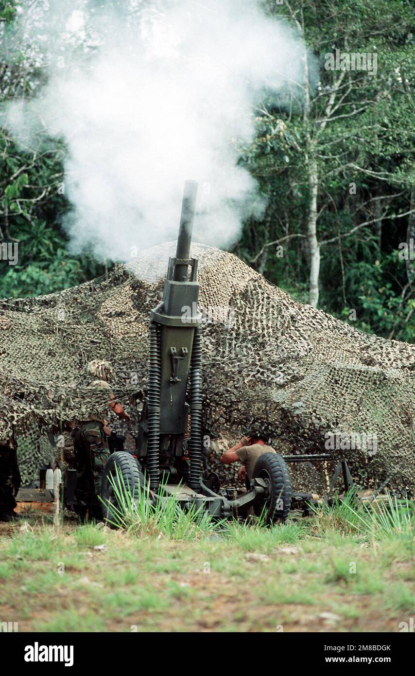 Members of the 2nd Battalion, 8th Field Artillery, fire a 105mm M-102 ...