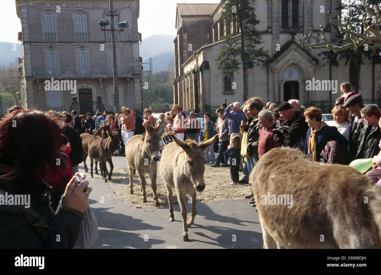 Parade of the donkey festival in Gonfaron Var Provence village wher ...