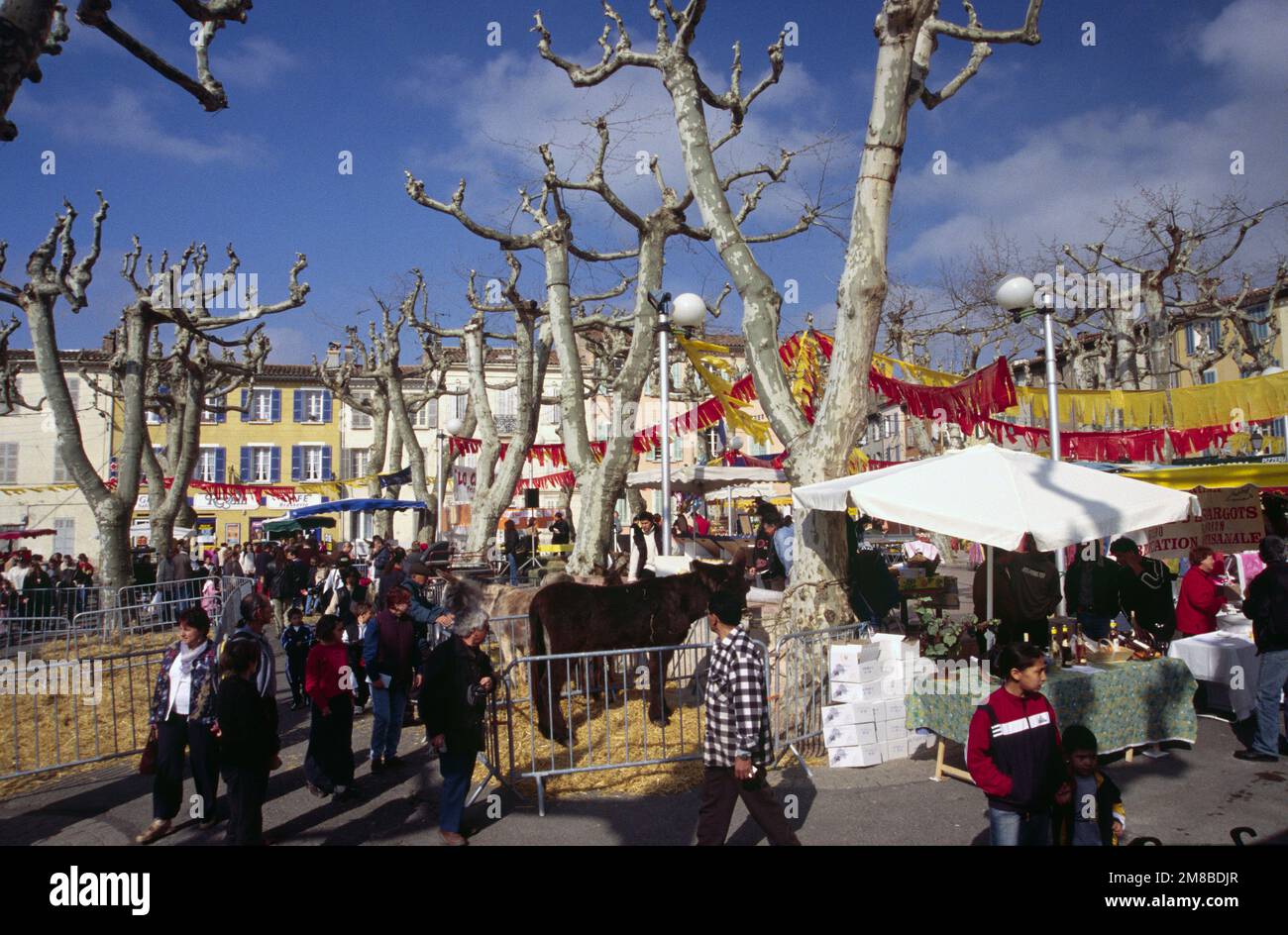 Parade of the donkey festival in Gonfaron Var Provence village wher ...