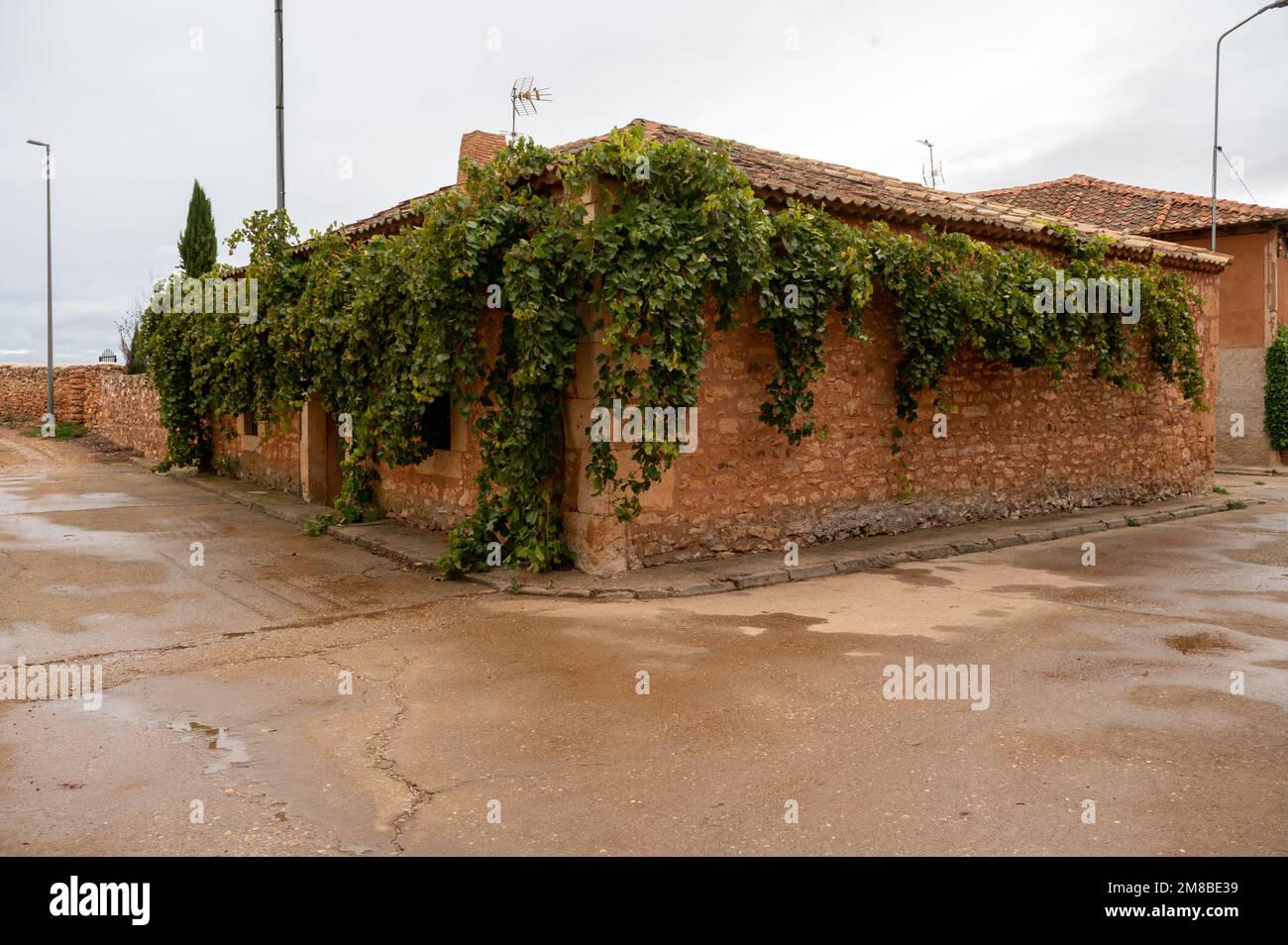A small stone building covered with walls covered in beautiful green ...