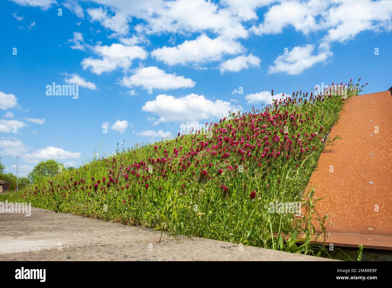 Beautiful wall hi-res stock photography and images - Alamy