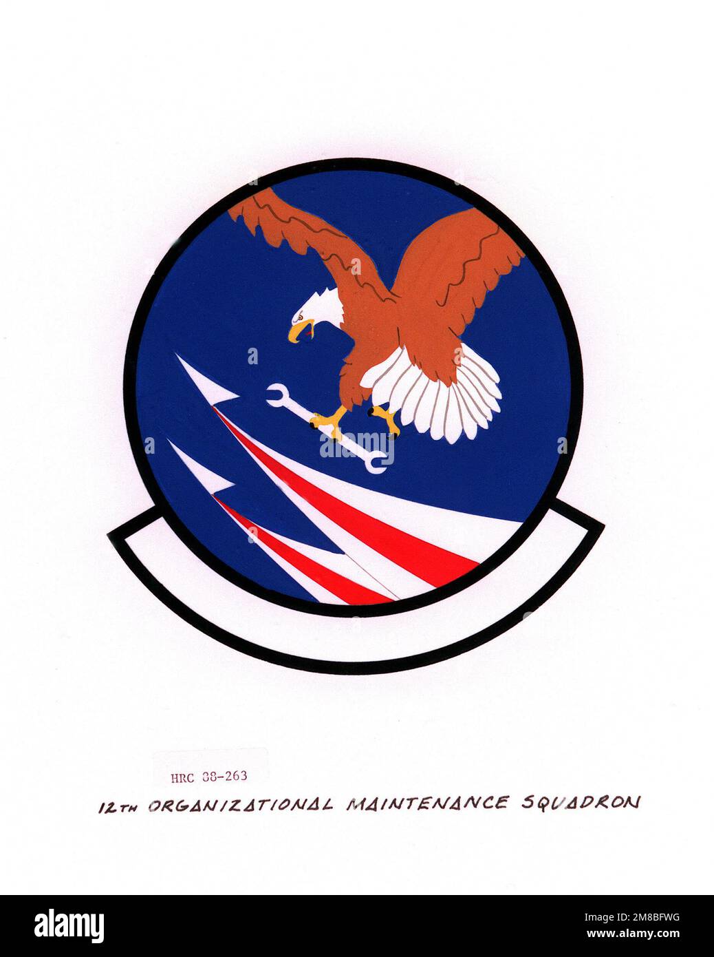 Approved insignia for: 12th Organizational Maintenance Squadron ...