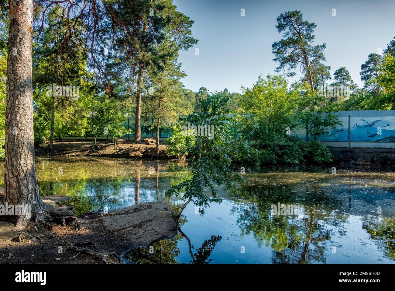 Green trees on shore reservoir hi-res stock photography and images - Alamy