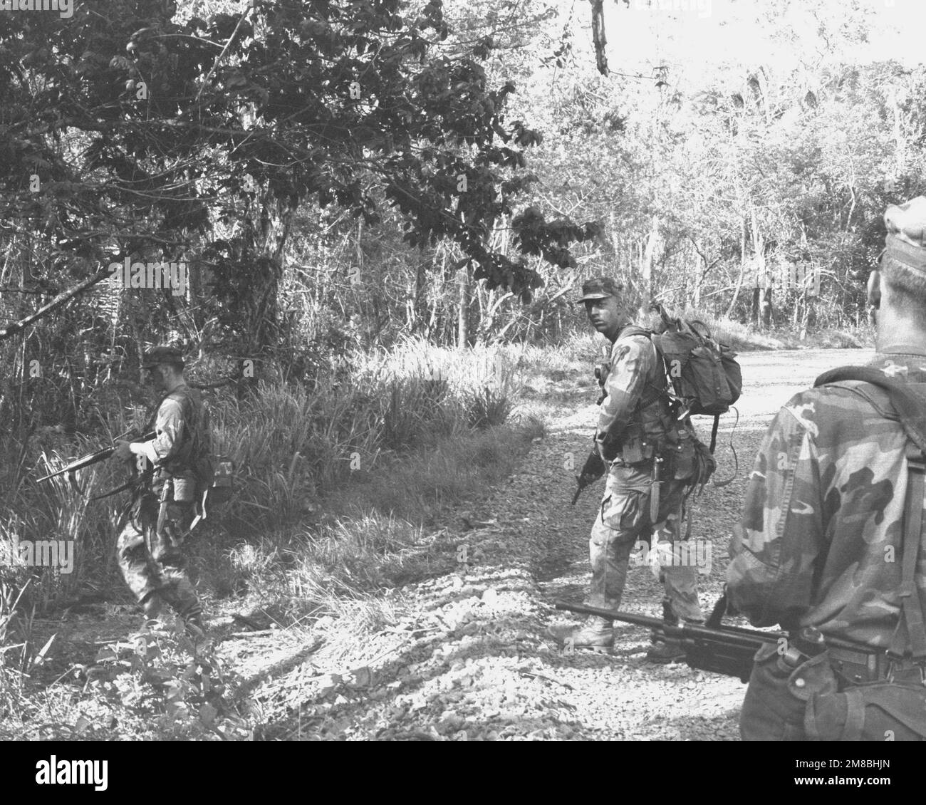 Marines from Det. 8, 8th Communications Bn., 2nd Force Service Support ...