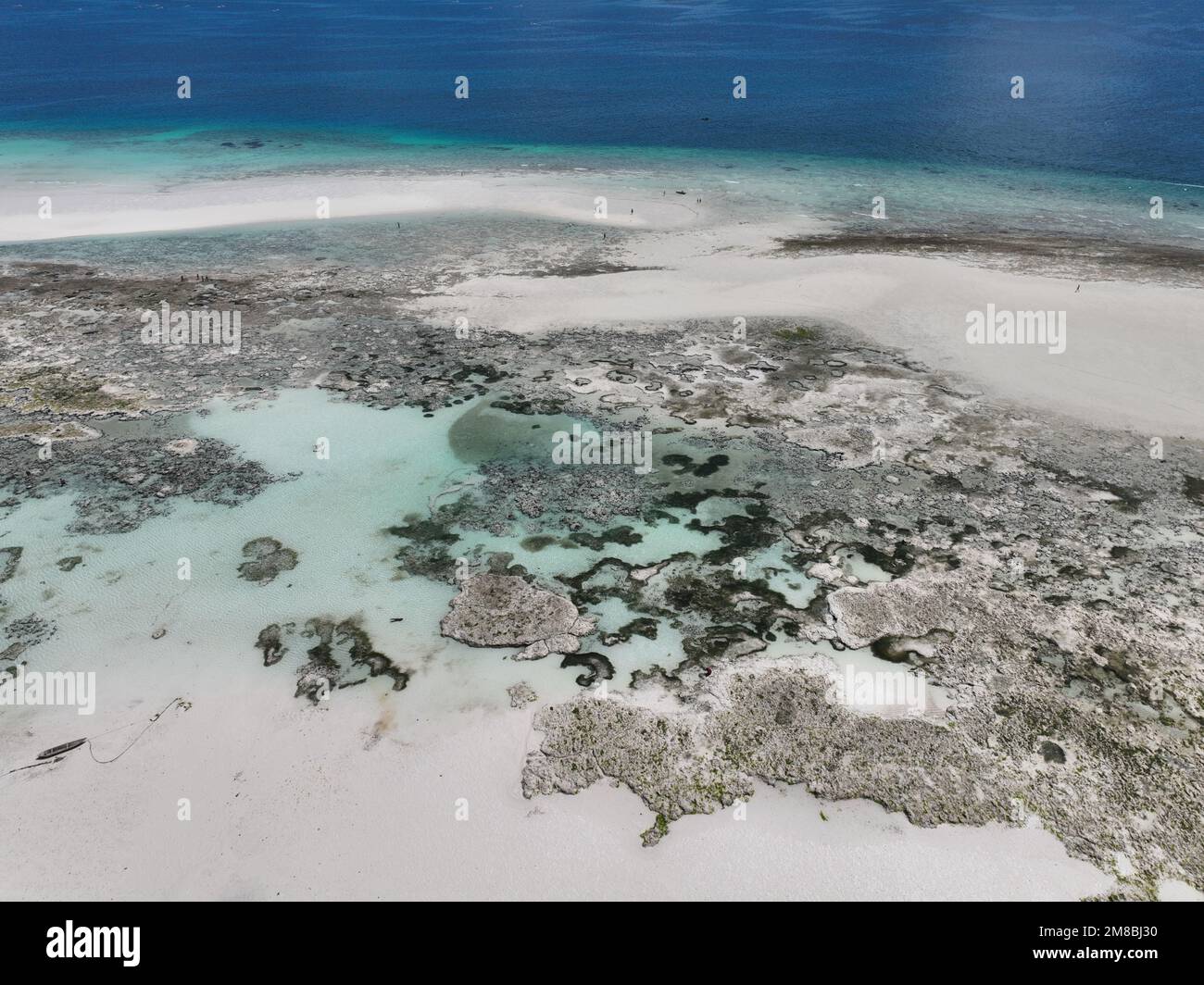 Zanzibar (Muyuni Beach on the largest island of the Zanzibar ...