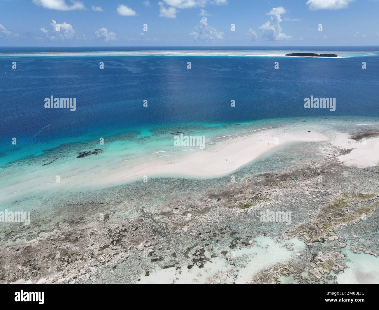 Zanzibar (Muyuni Beach on the largest island of the Zanzibar ...